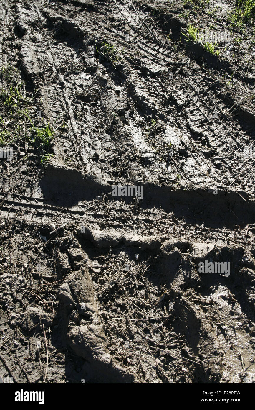 car tyre tracks crossing mud in field in country Stock Photo - Alamy