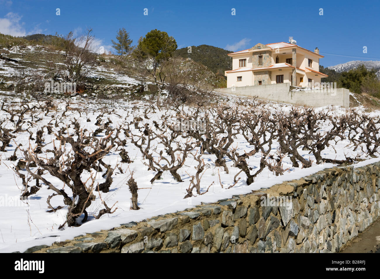 Pano platres hi-res stock photography and images - Alamy