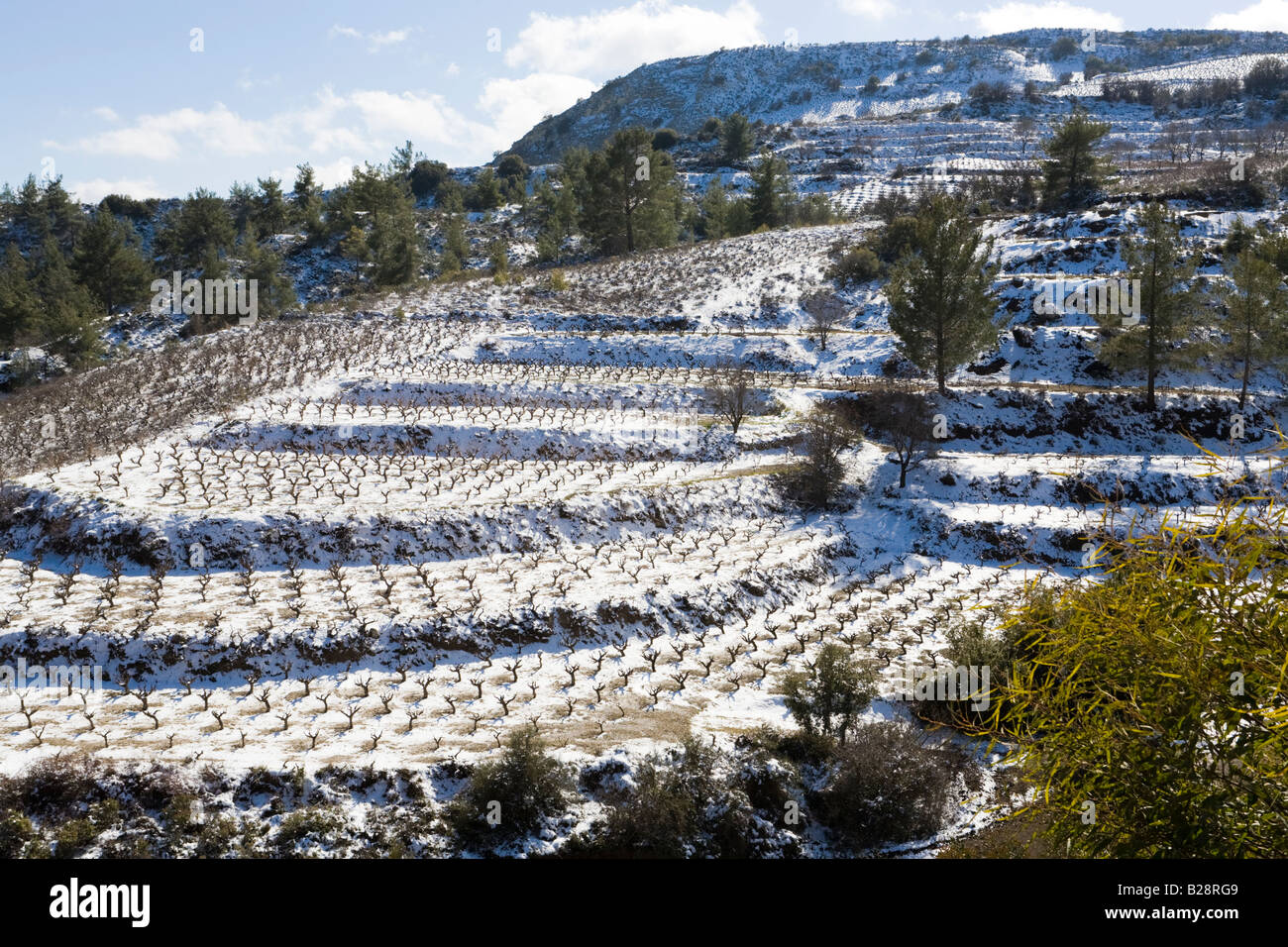 Mandria cyprus hi-res stock photography and images - Alamy