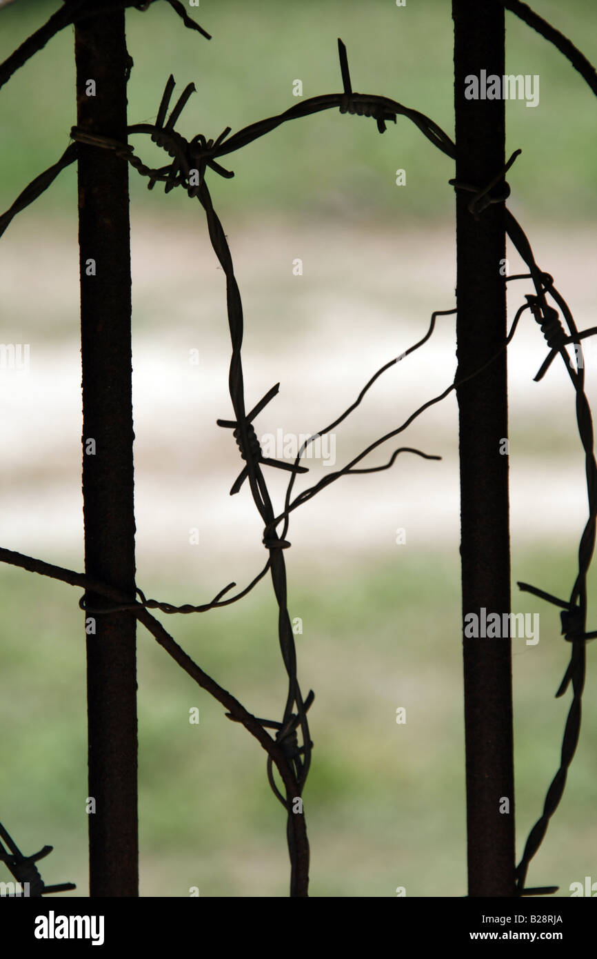 room window with barbed wire and metal bars Stock Photo - Alamy