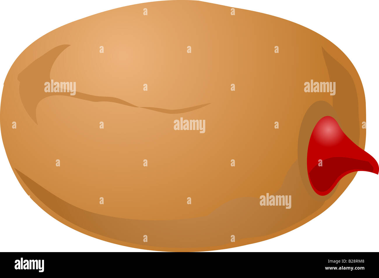Jam filled jelly donut vector isometric illustration Stock Photo - Alamy
