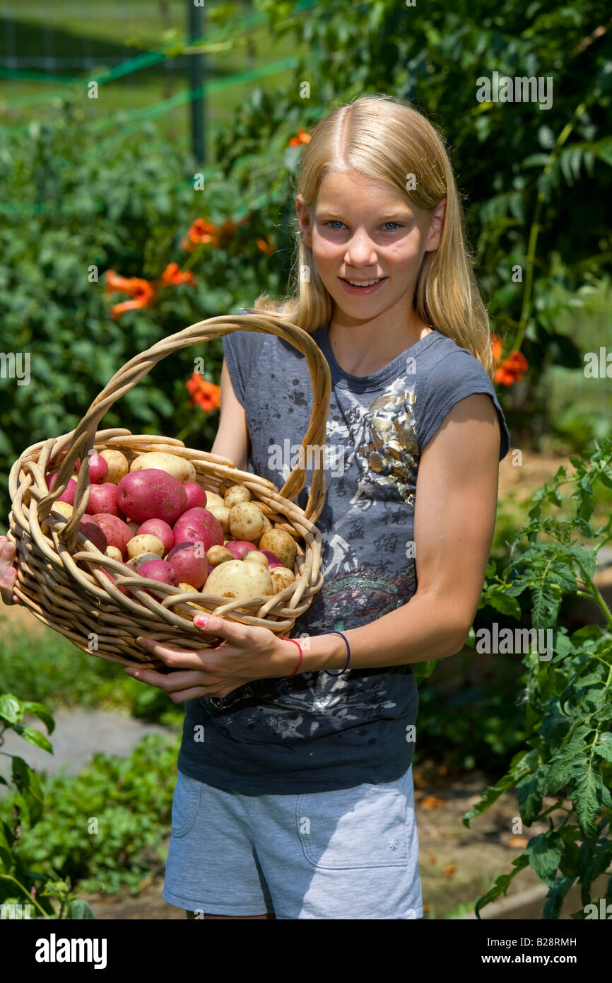 Vegetable tuber potato hi-res stock photography and images - Alamy