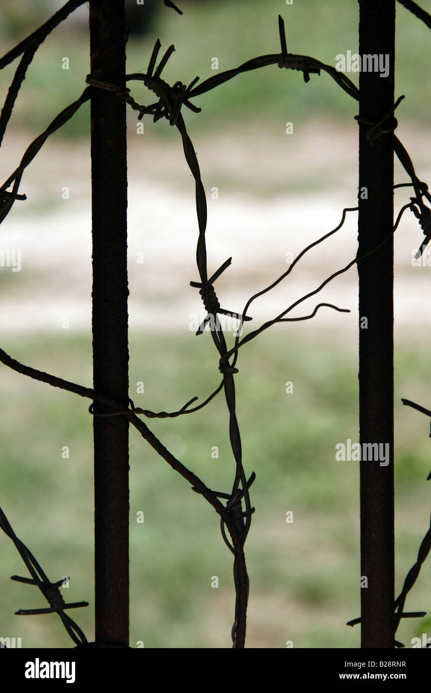 room window with barbed wire and metal bars Stock Photo - Alamy