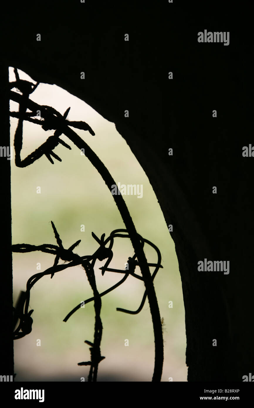 room window with barbed wire and metal bars Stock Photo - Alamy