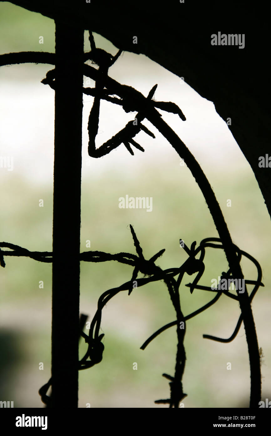 room window with barbed wire and metal bars Stock Photo - Alamy