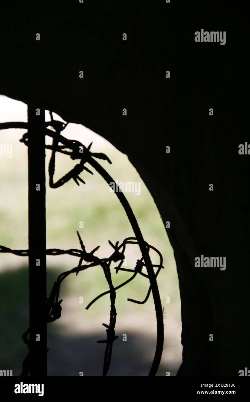 room window with barbed wire and metal bars Stock Photo - Alamy