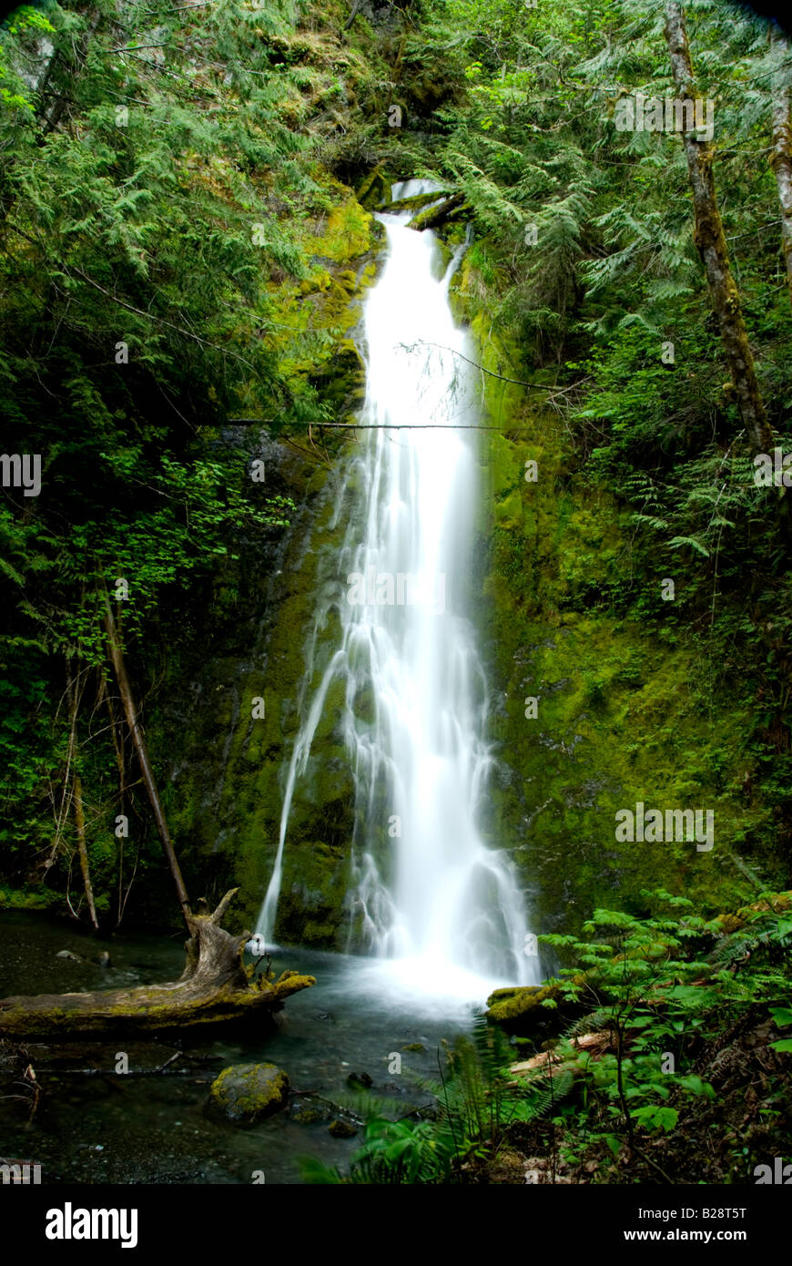 Madison Creek Falls, Elwha River Valley, Olympic National Park ...