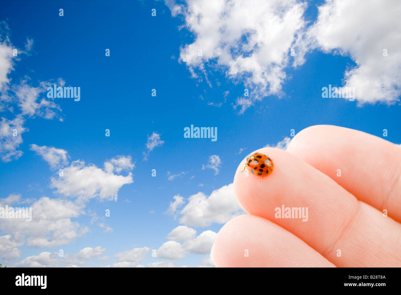 Letting go of hand hi-res stock photography and images - Alamy