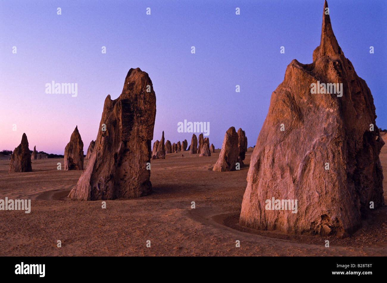 Limestone pillars, “the Pinnacles” Nambung NP Western Australia Stock ...