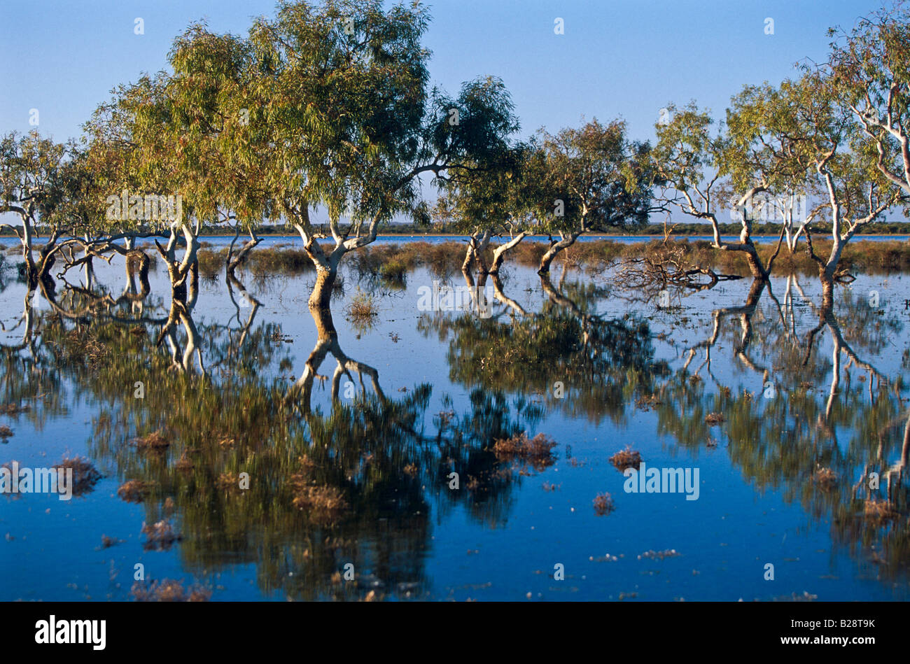 Lake scenic, outback Australia Stock Photo - Alamy