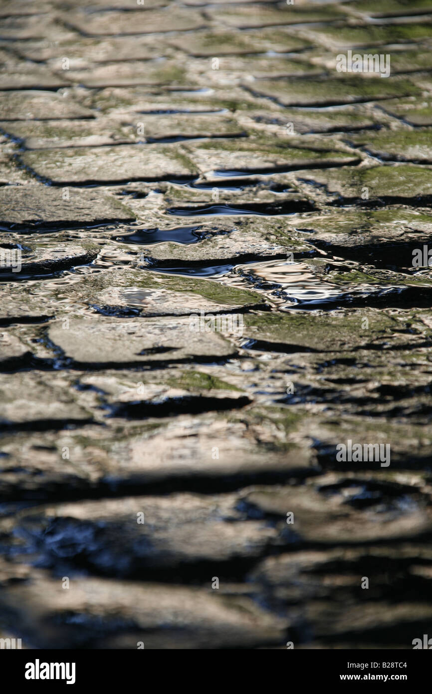 wet pavement cobbles in rain in morning sun Stock Photo - Alamy