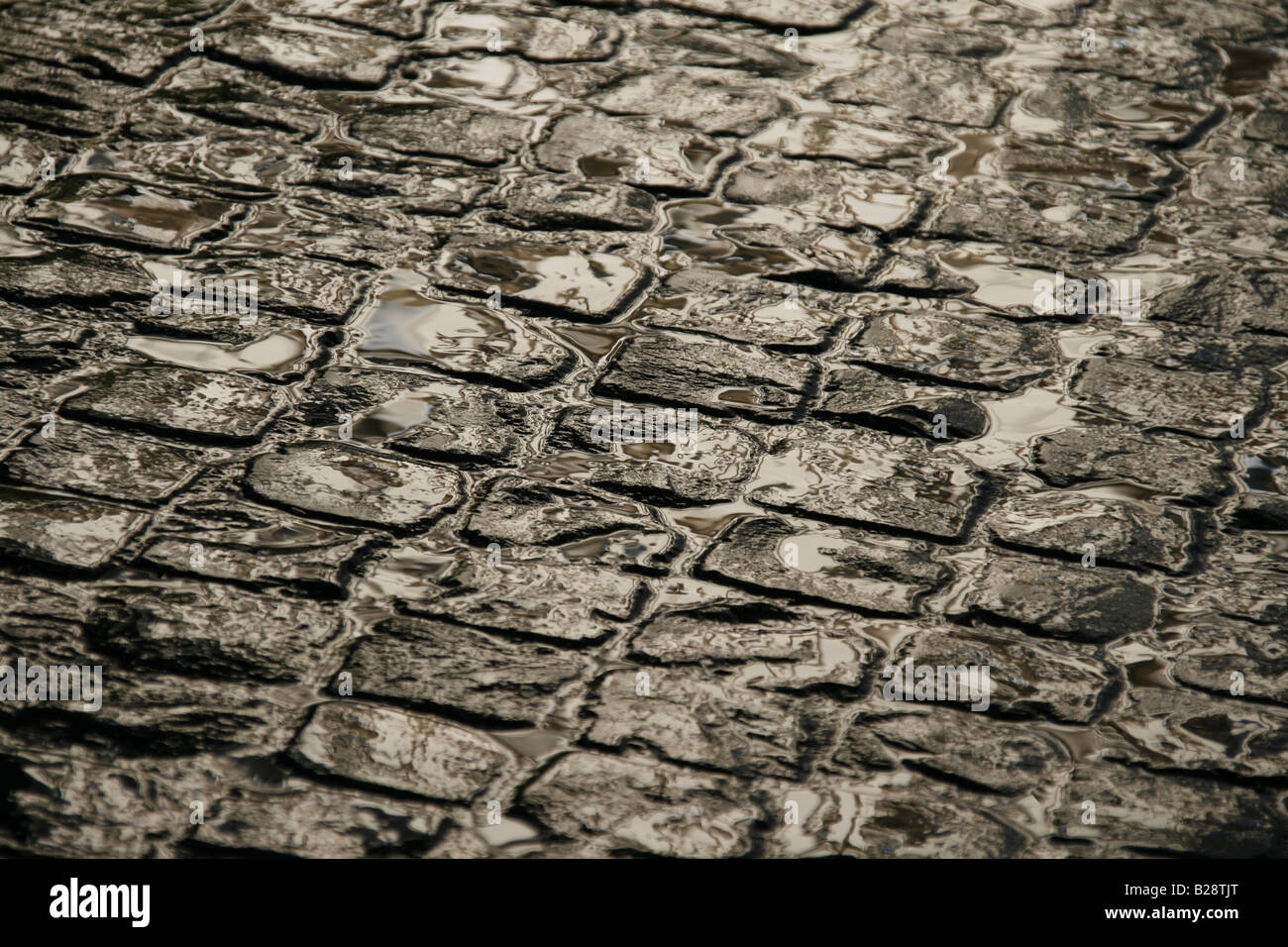 wet pavement cobbles in rain in morning sun Stock Photo - Alamy