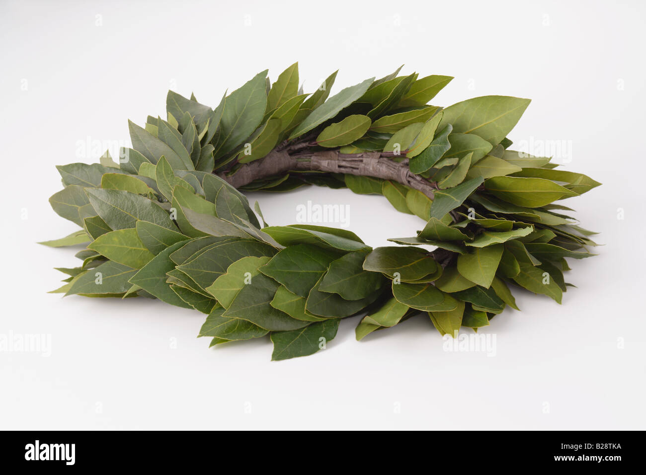 Laurels hi-res stock photography and images - Alamy