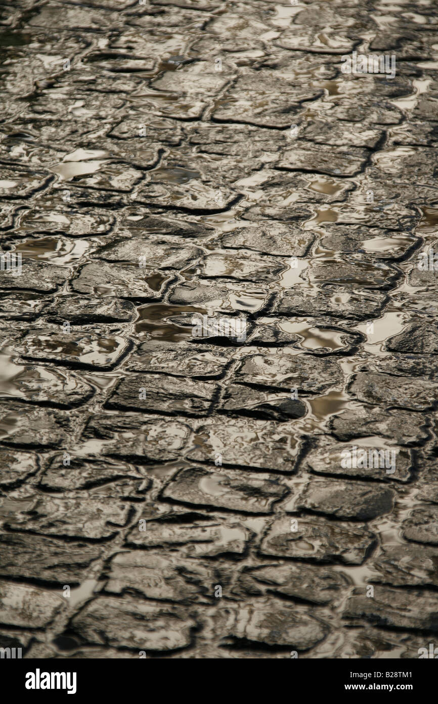 wet pavement cobbles in rain in morning sun Stock Photo - Alamy