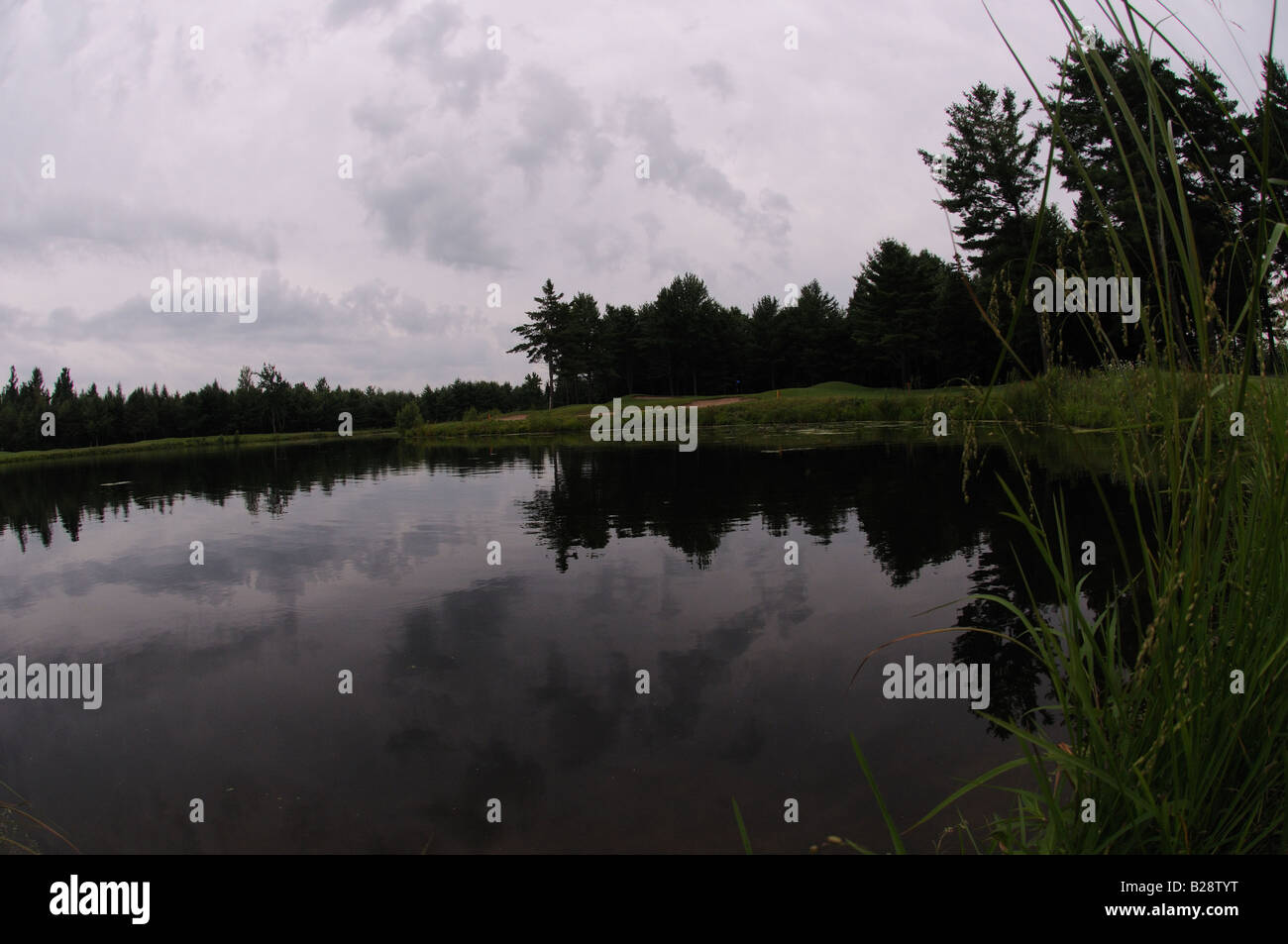 A wide angle view, frog’s eye perspective from the pond on a golf ...