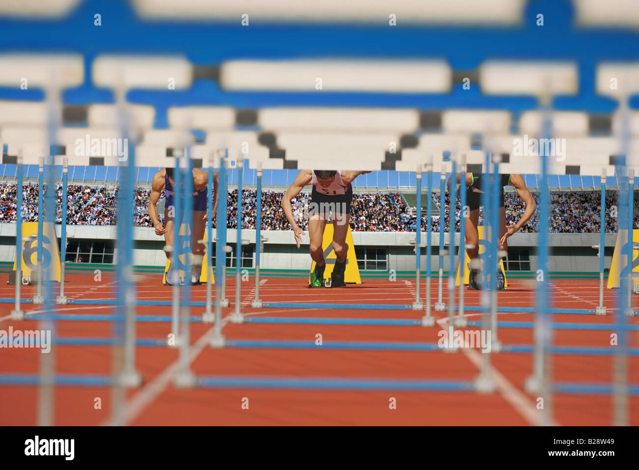 Runners Starting Off Stock Photo - Alamy