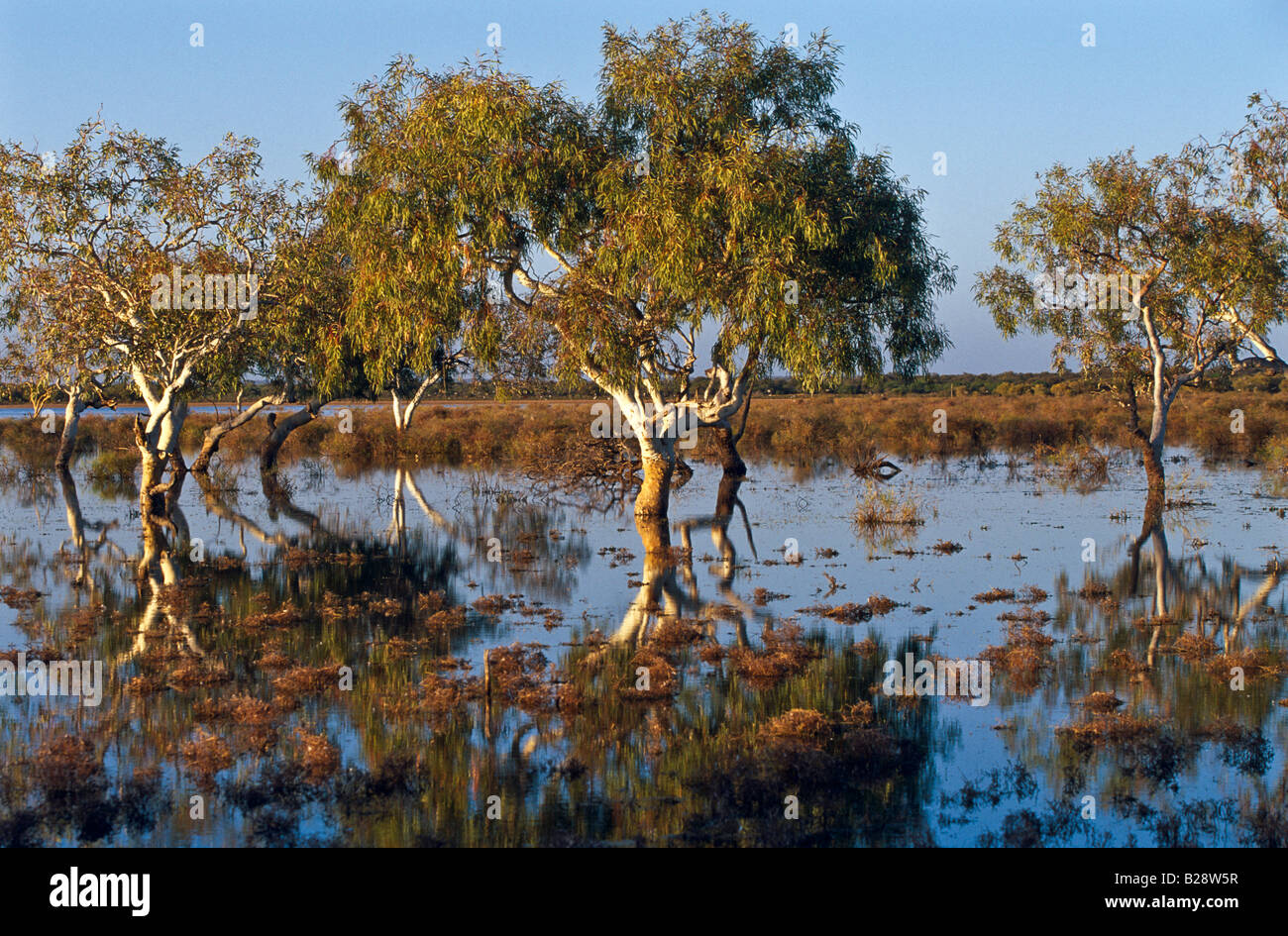 Lake scenic, outback Australia Stock Photo - Alamy