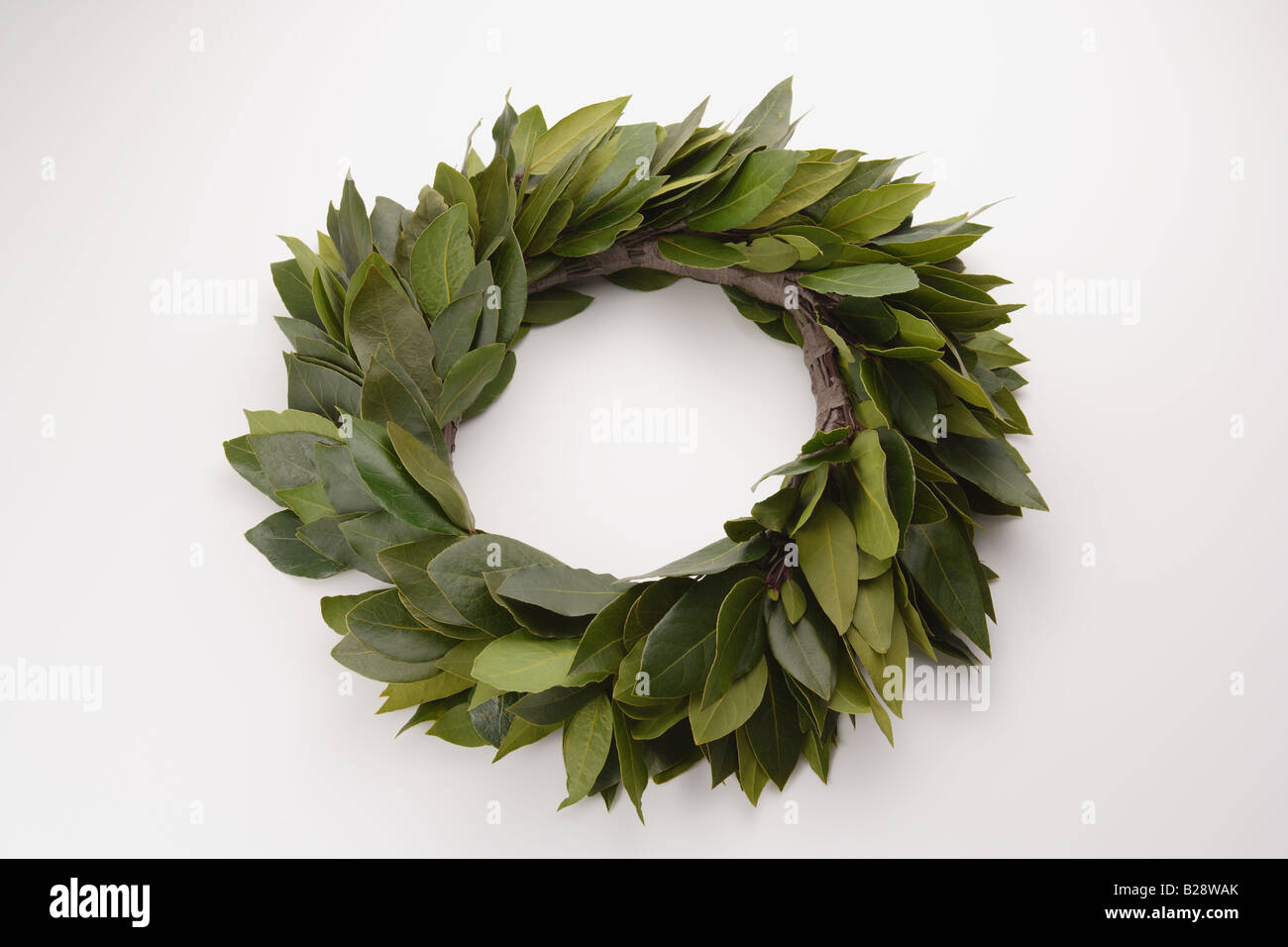 Laurel green hi-res stock photography and images - Alamy