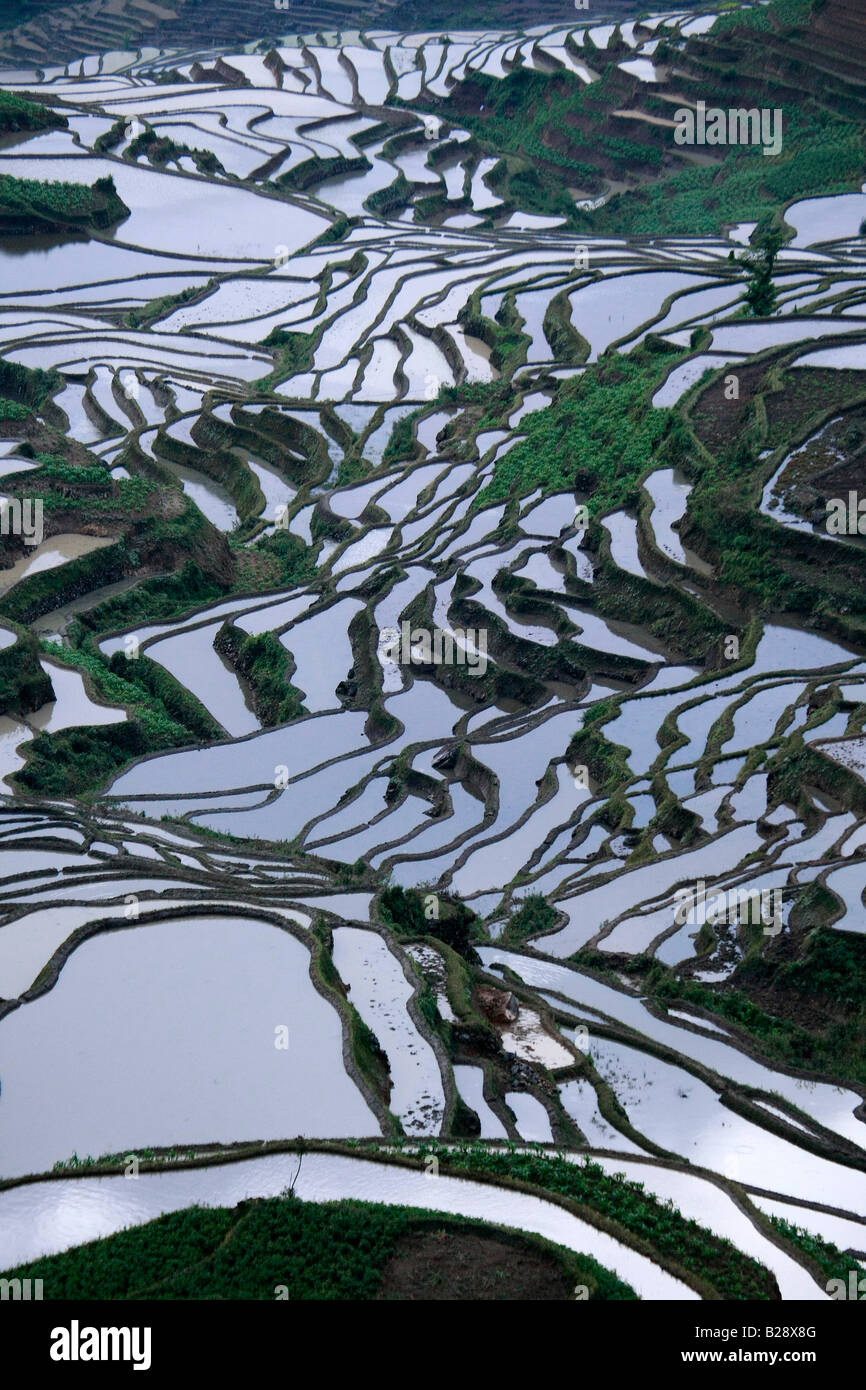 Yuangyang rice terraces hi-res stock photography and images - Alamy