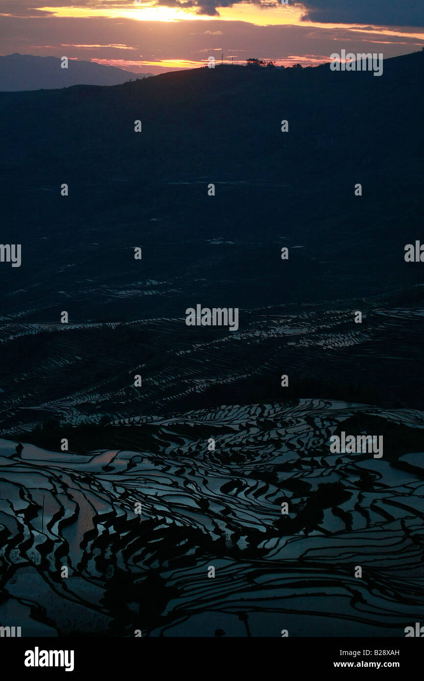 The rice terraces at Yuanyang, Yunnan, China Stock Photo - Alamy