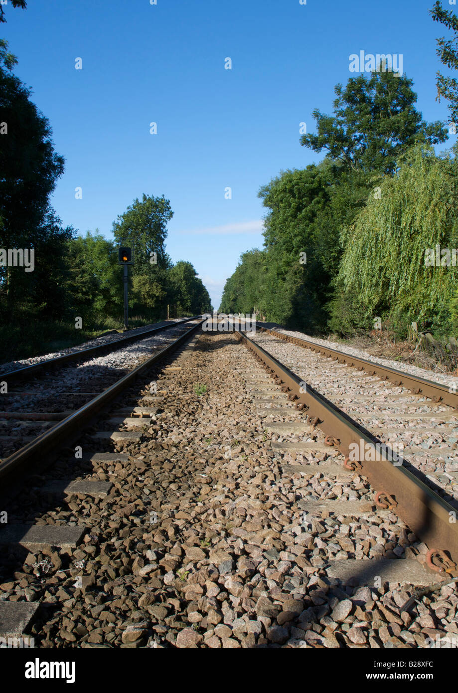 Looking down tree lined hi-res stock photography and images - Alamy