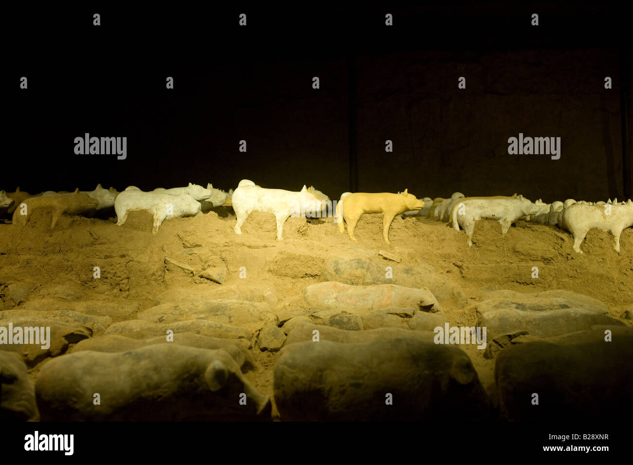 Terracotta animal figures at the Han Dynasty Tomb of Han Yang Ling Xian ...