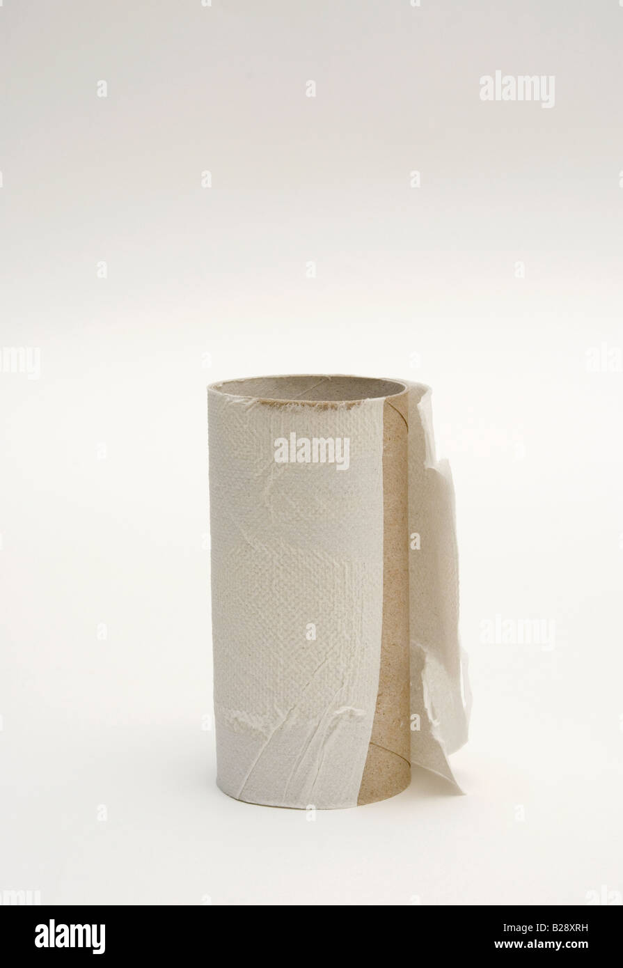 End Of Toilet Paper Roll at Tamara Wilson blog