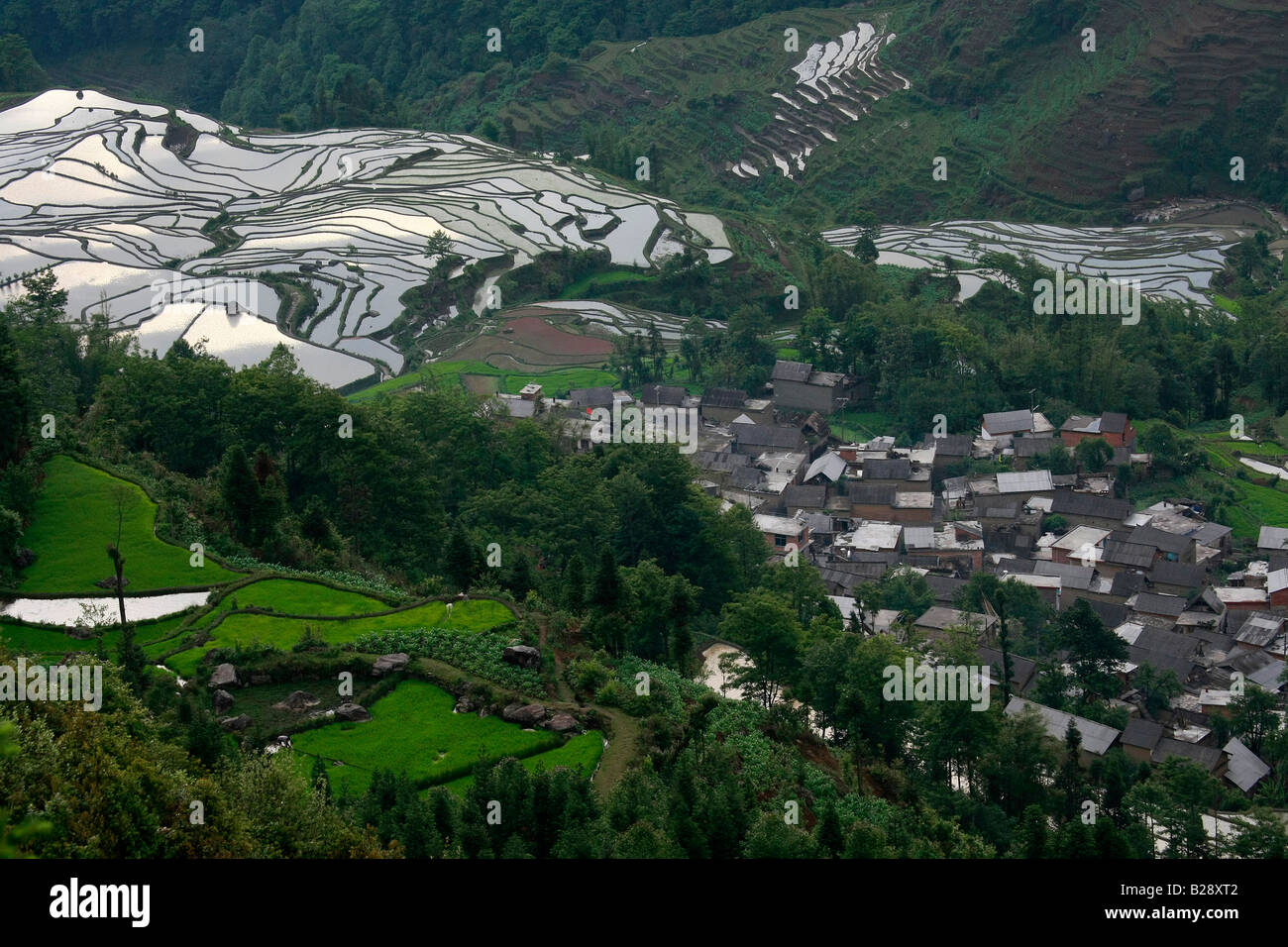 The rice terraces at Yuanyang, Yunnan, China Stock Photo - Alamy