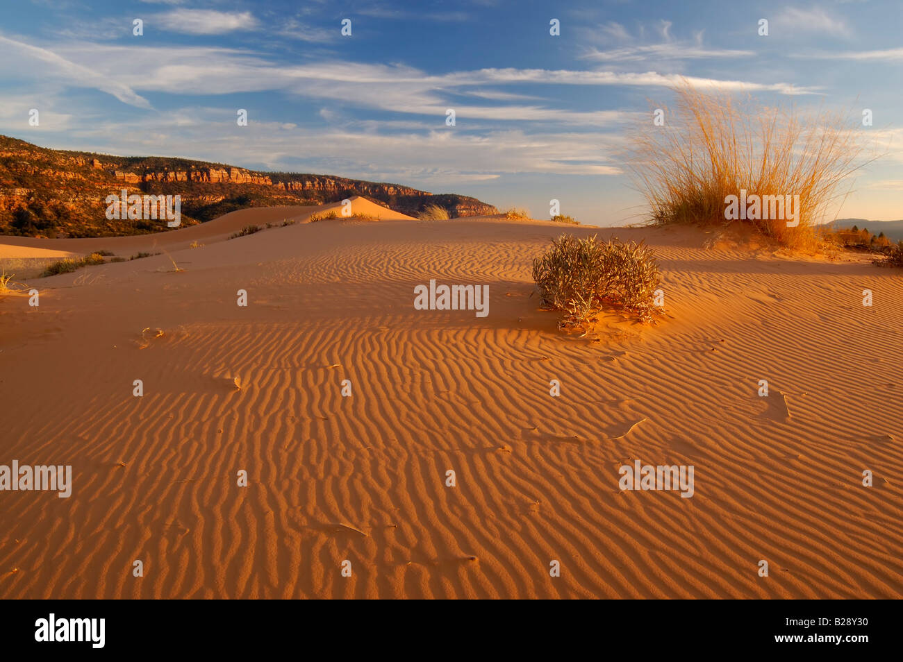 Coral pink state park patterns hi-res stock photography and images - Alamy