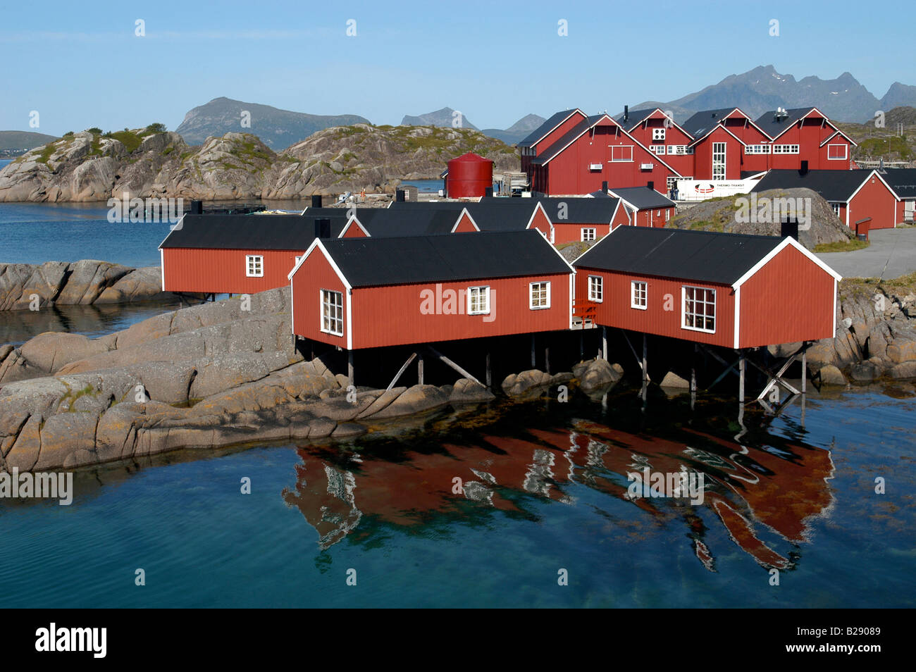 Robuer , Mortsund, Lofoten, Norway Stock Photo - Alamy