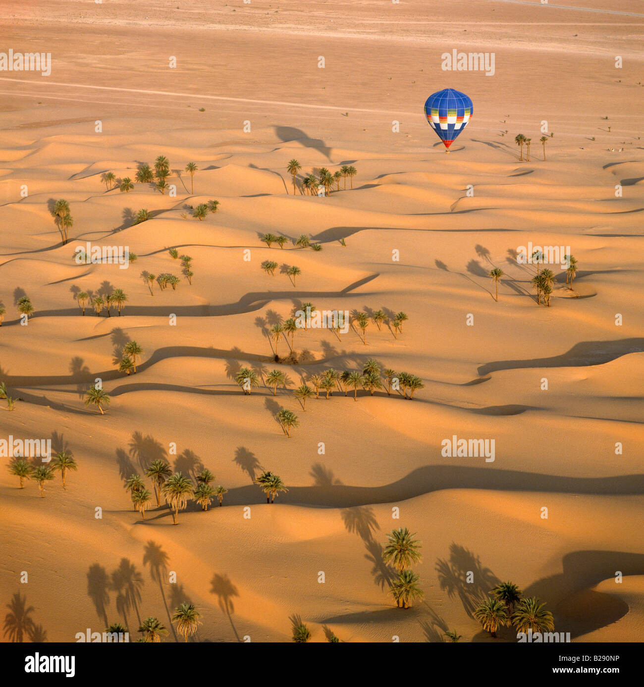 Balloon over sandy desert with date palms Algeria Sahara Stock Photo ...