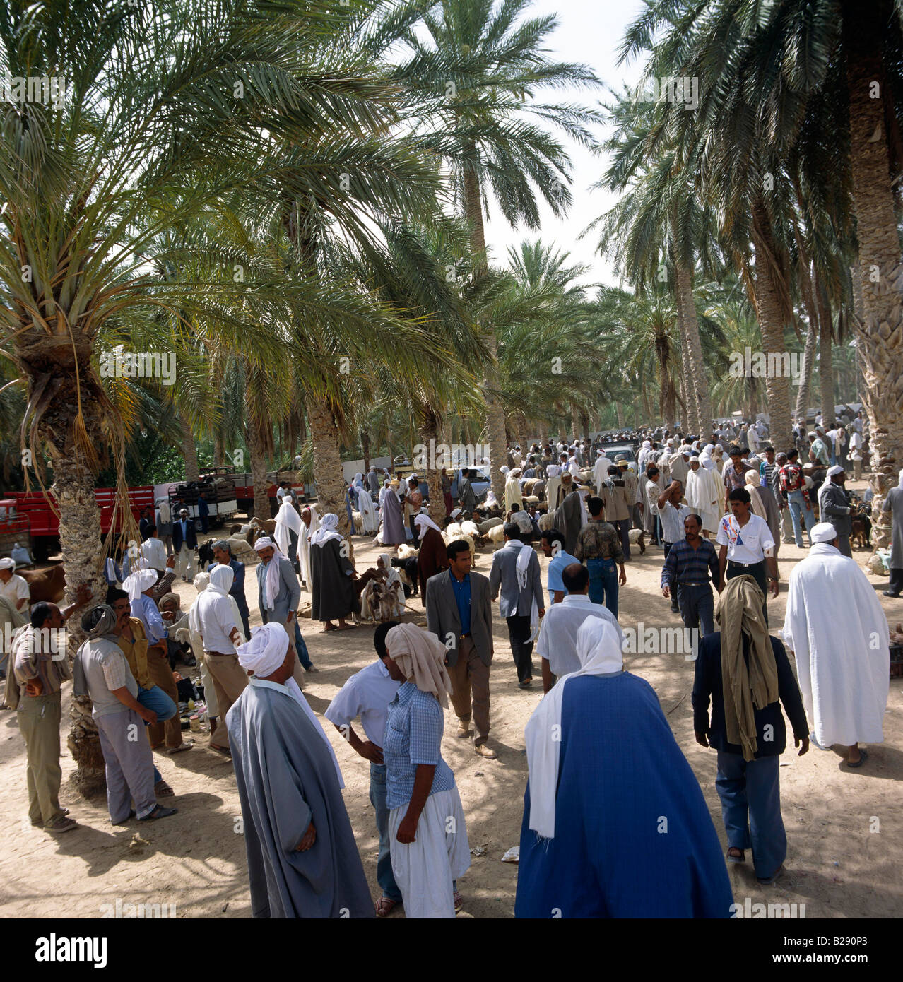 Douz hi-res stock photography and images - Alamy