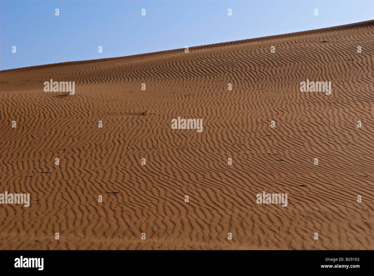 Ripples in sand on a dune Wahiba Sands Oman Stock Photo - Alamy