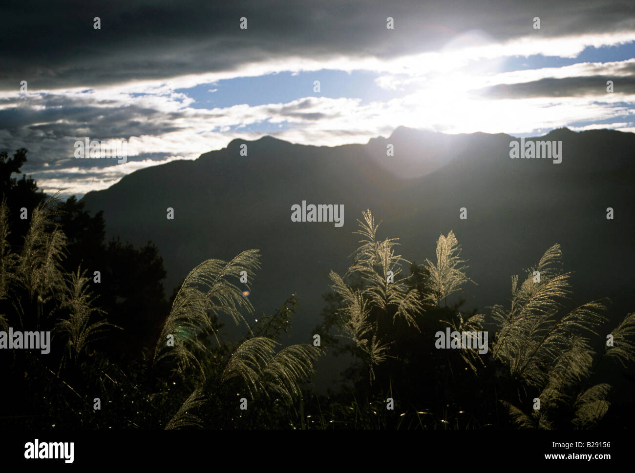 Sunrise at Alishan Ali mountain Central Taiwan Stock Photo - Alamy
