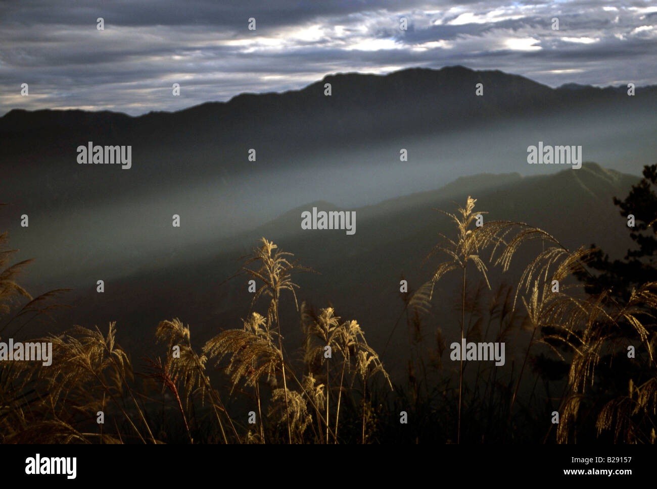 Sunrise at Alishan Ali mountain Central Taiwan Stock Photo - Alamy