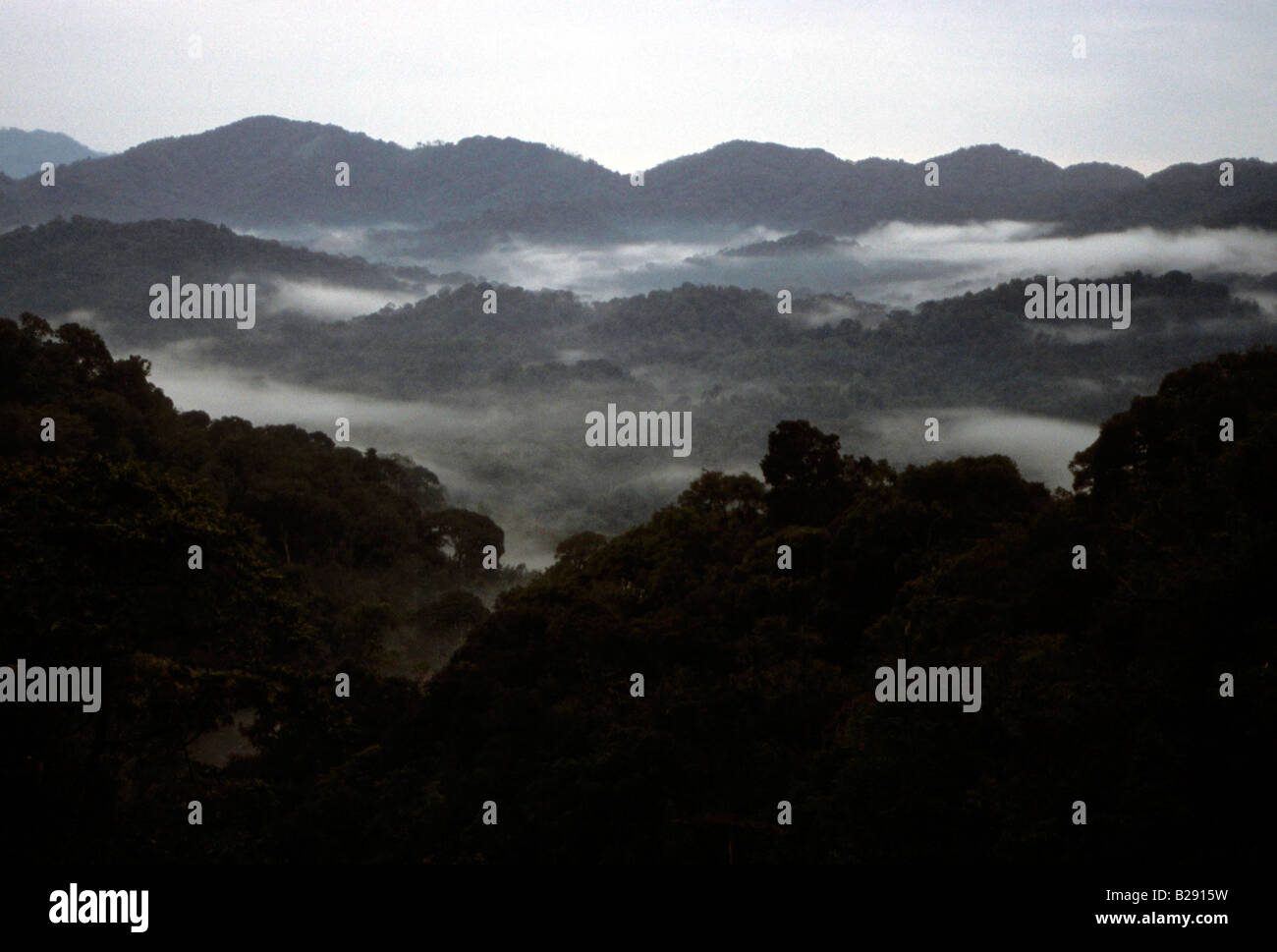 Thousand hills rwanda hi-res stock photography and images - Alamy