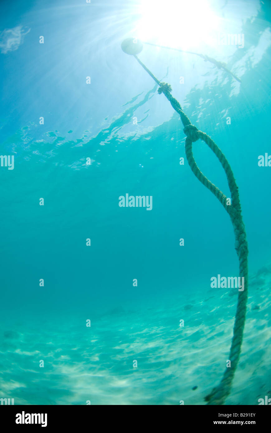 An anchor buoy underwater in Bermuda Stock Photo - Alamy
