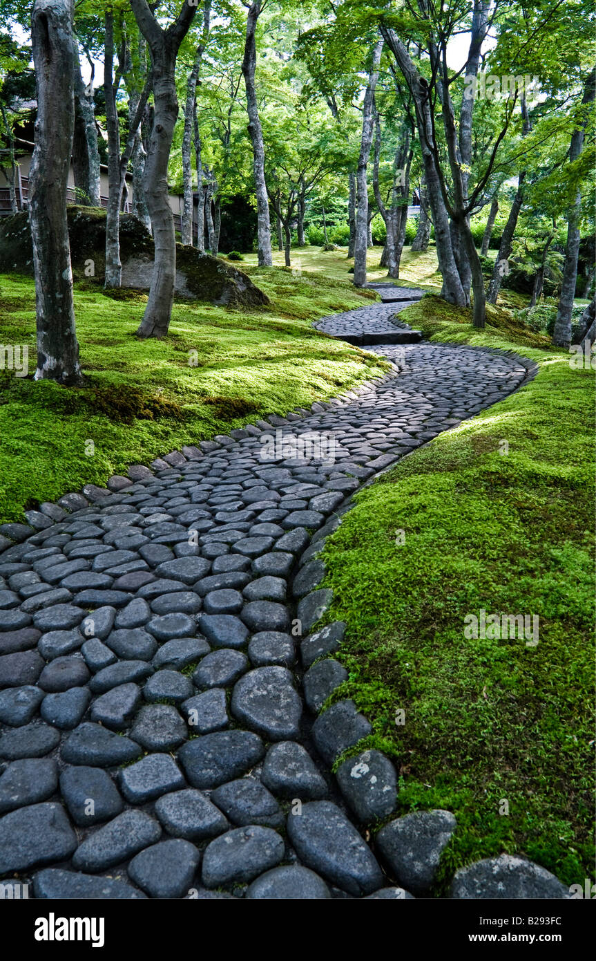A stone path winding through a green moss garden with trees and dappled ...