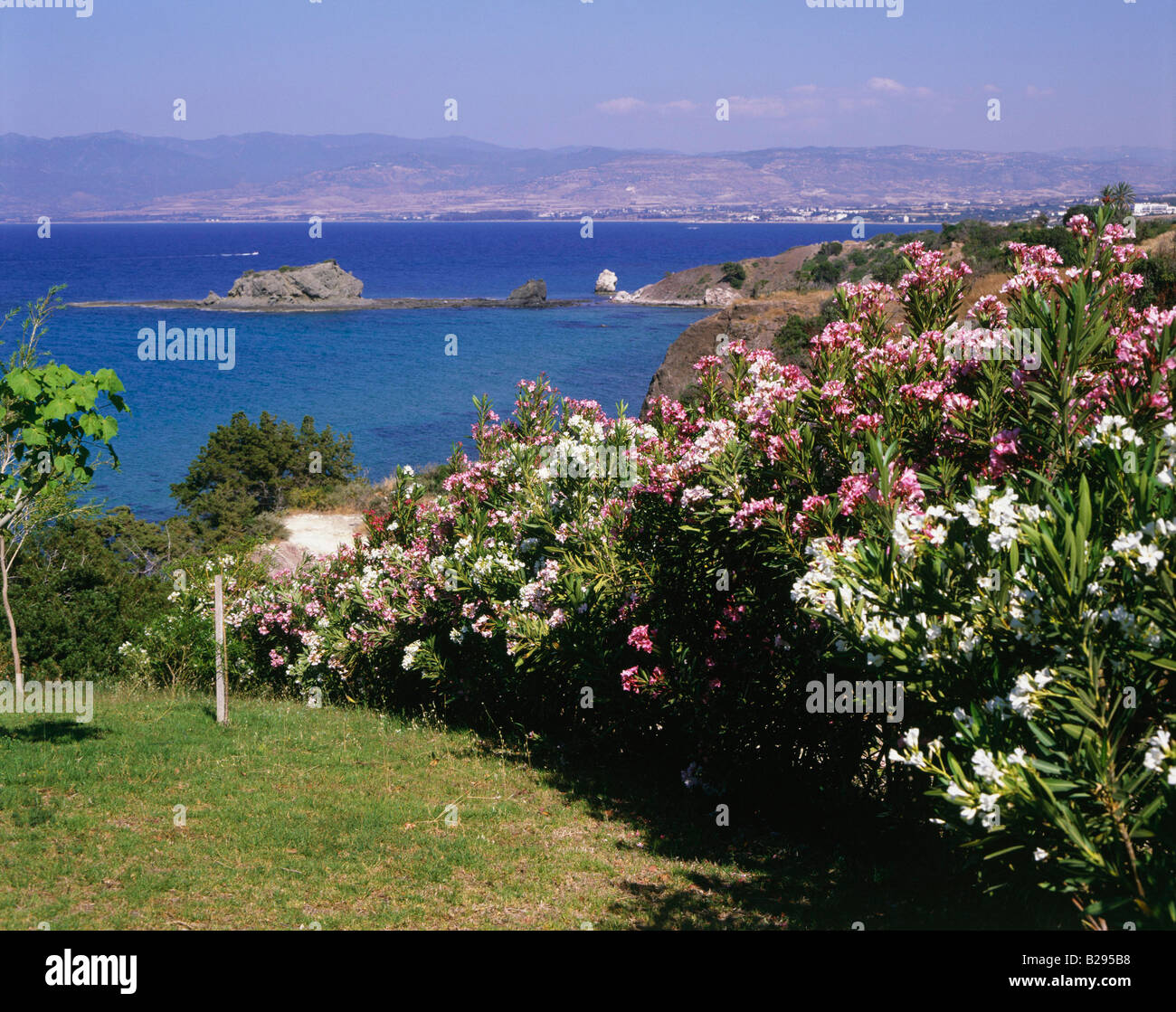 Baths of aphrodite hi-res stock photography and images - Alamy