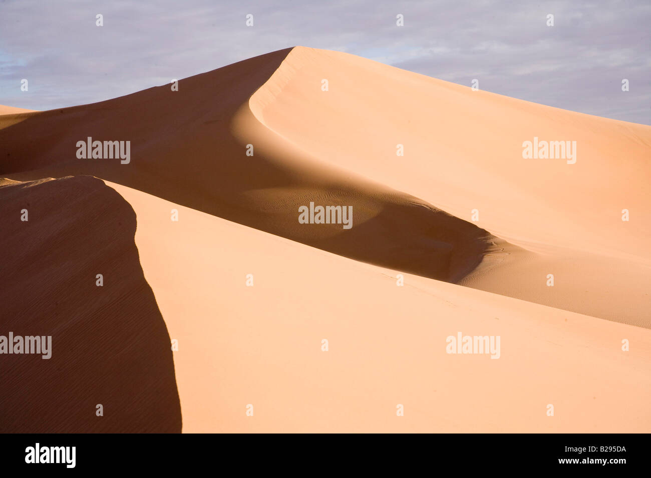 Libya Sahara Desert Dunes Date 25 01 2008 Ref ZB720 112781 0009 ...