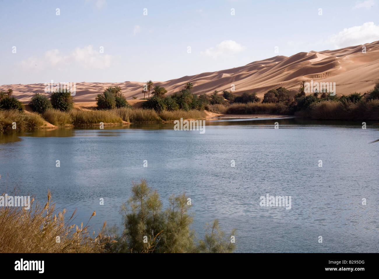 Libya Sahara Desert Oasis Lake Um el Ma Stock Photo - Alamy