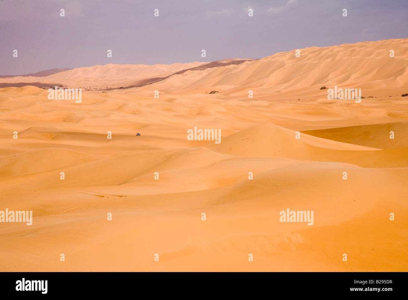 Libya Sahara Desert Dunes Date 25 01 2008 Ref ZB720 112781 0017 ...