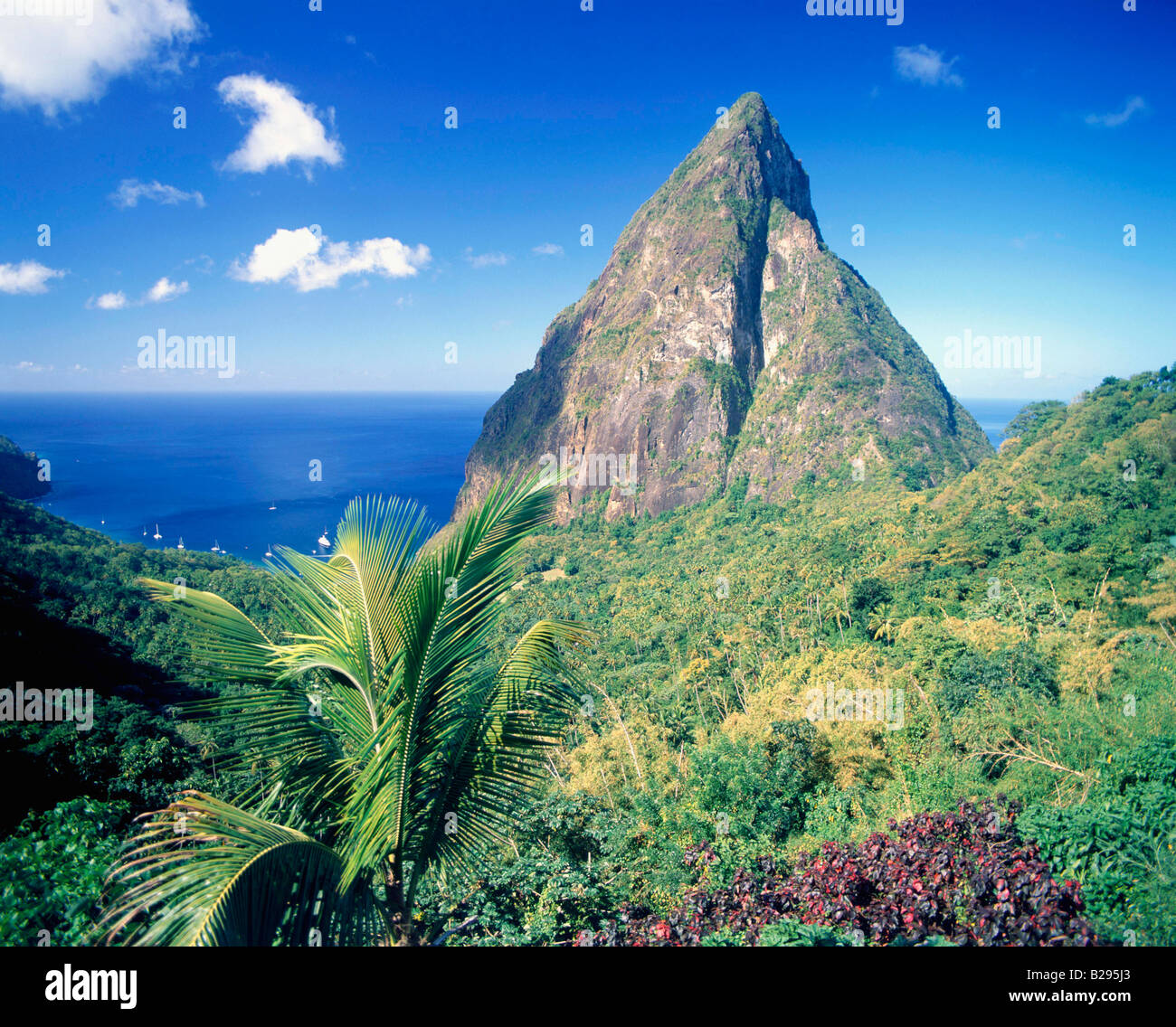 Gros pitons hi-res stock photography and images - Alamy