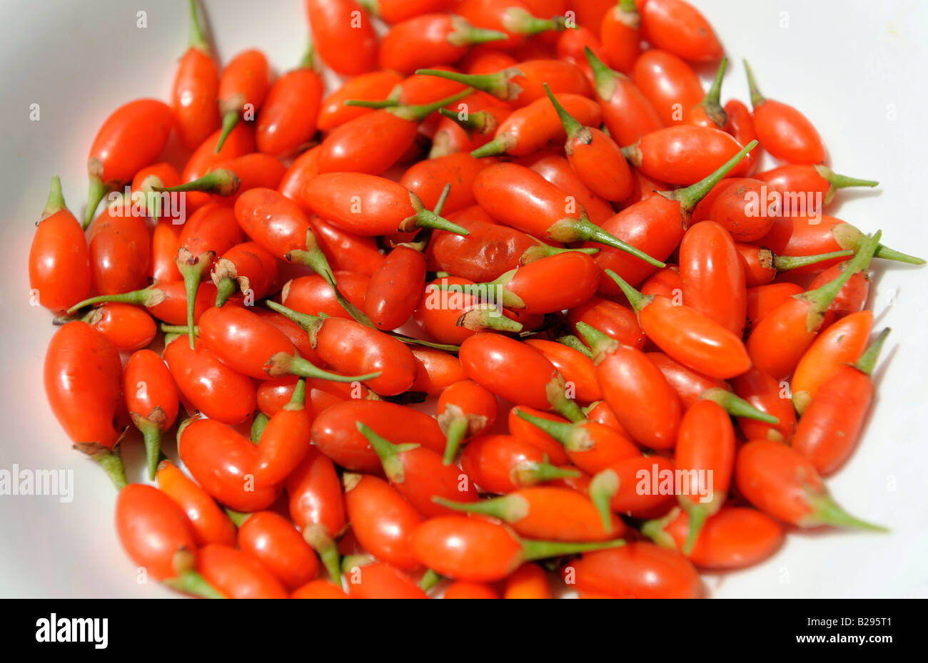 Fresh Goji Berries. 19-Jul-2008 Stock Photo - Alamy