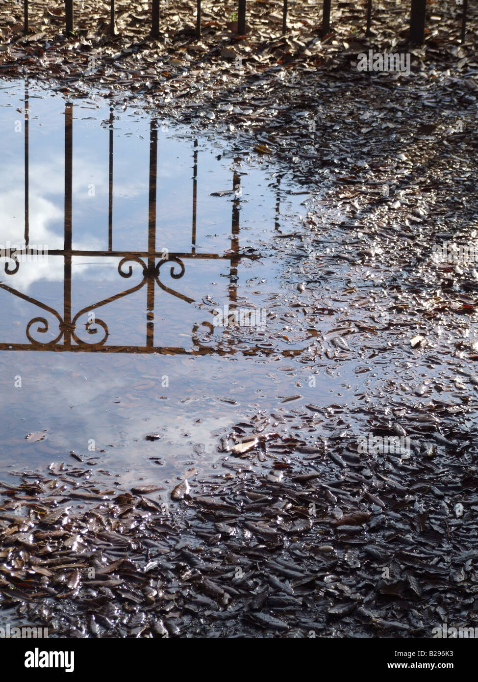 Pool surface in dark atmosphere hi-res stock photography and images - Alamy