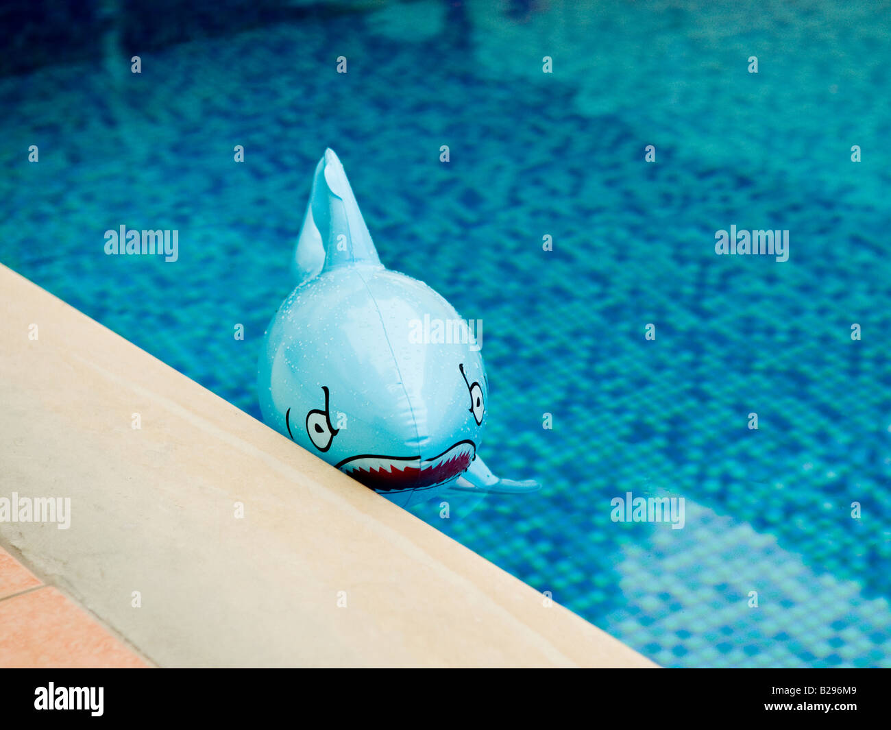 Inflatable shark in swimming pool Stock Photo - Alamy