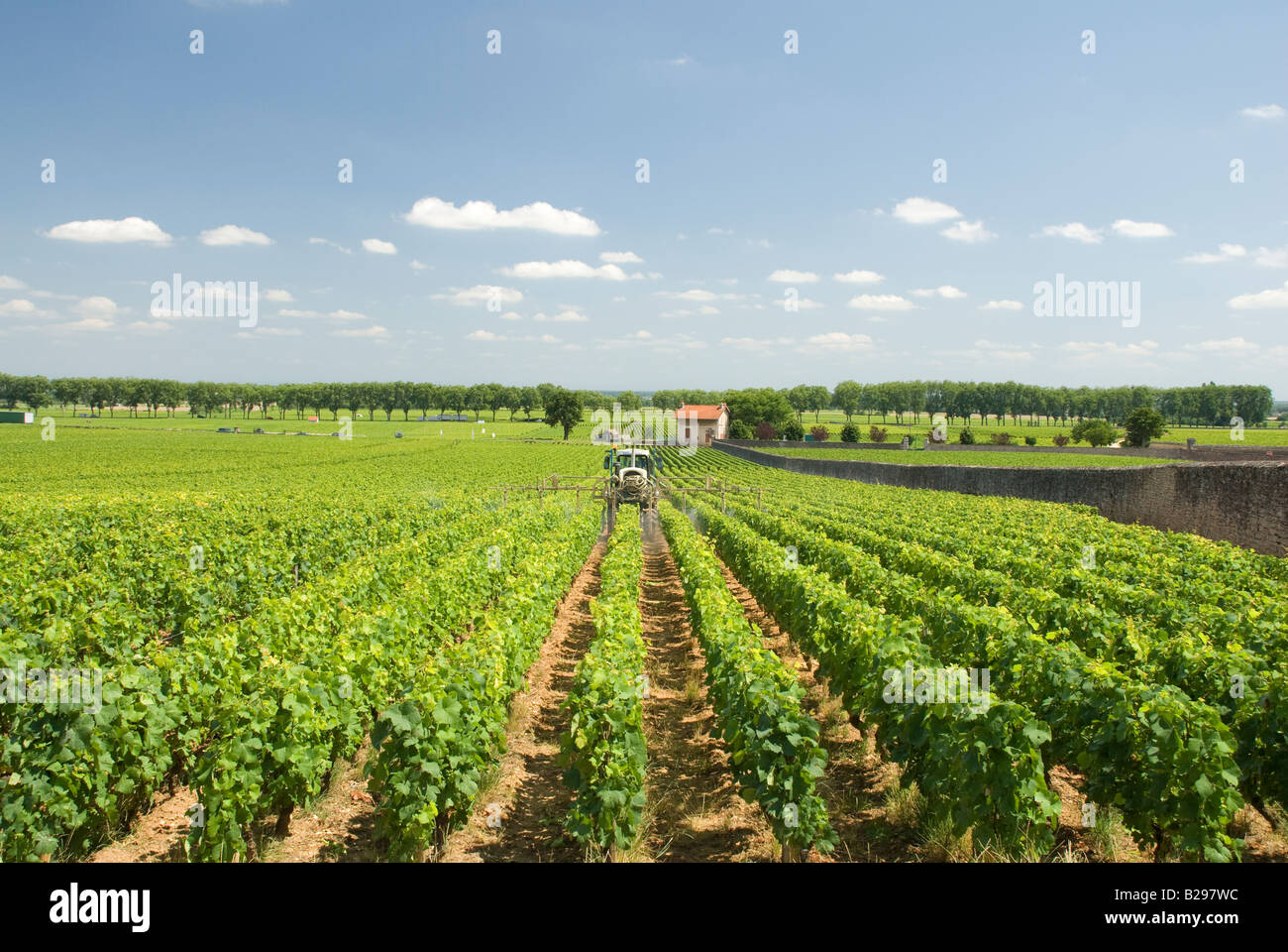Vineyard crop spraying tractor hi-res stock photography and images - Alamy