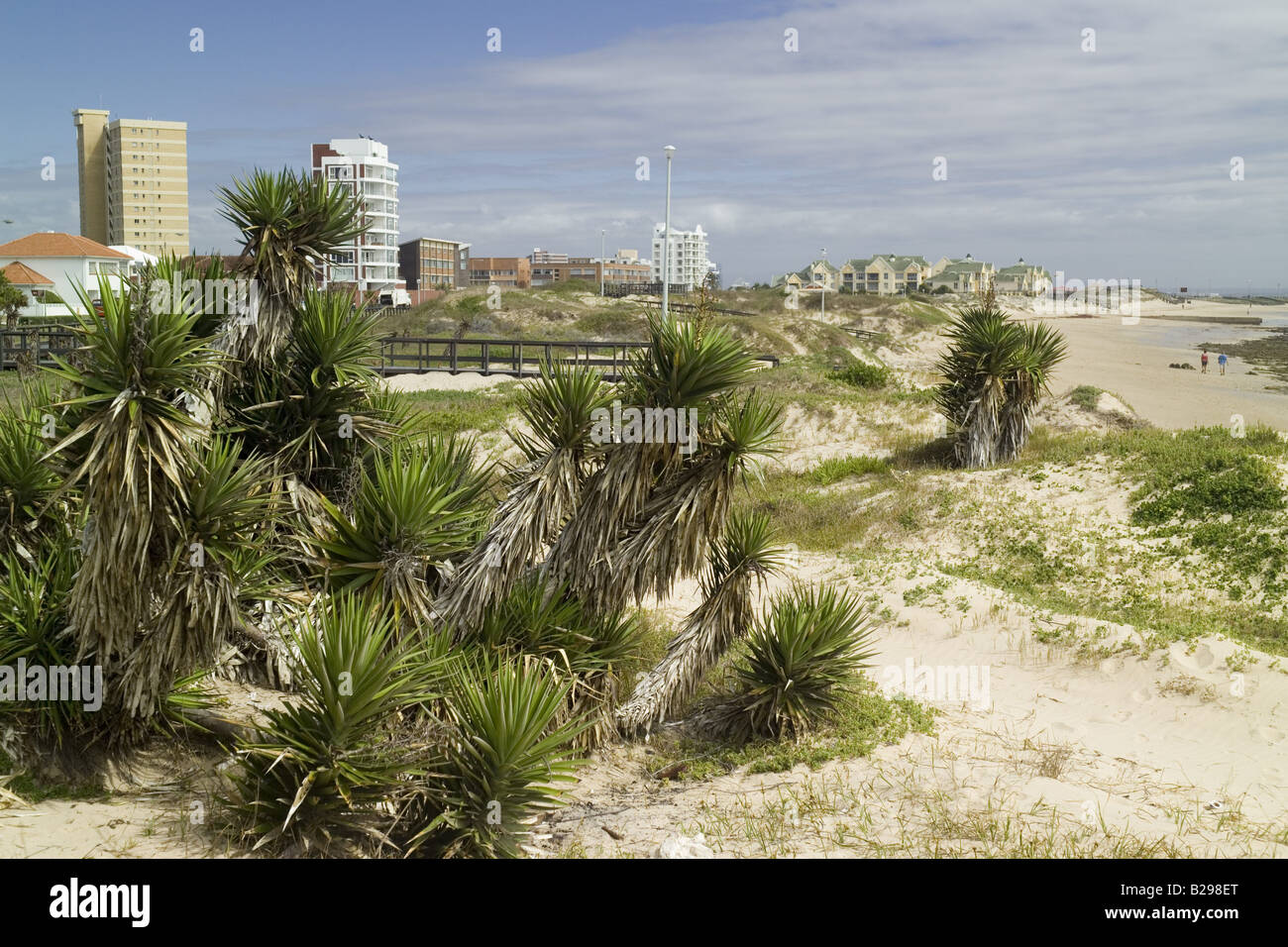 Nelson Mandela Bay Port Elizabeth Garden Route South Africa Stock Photo ...