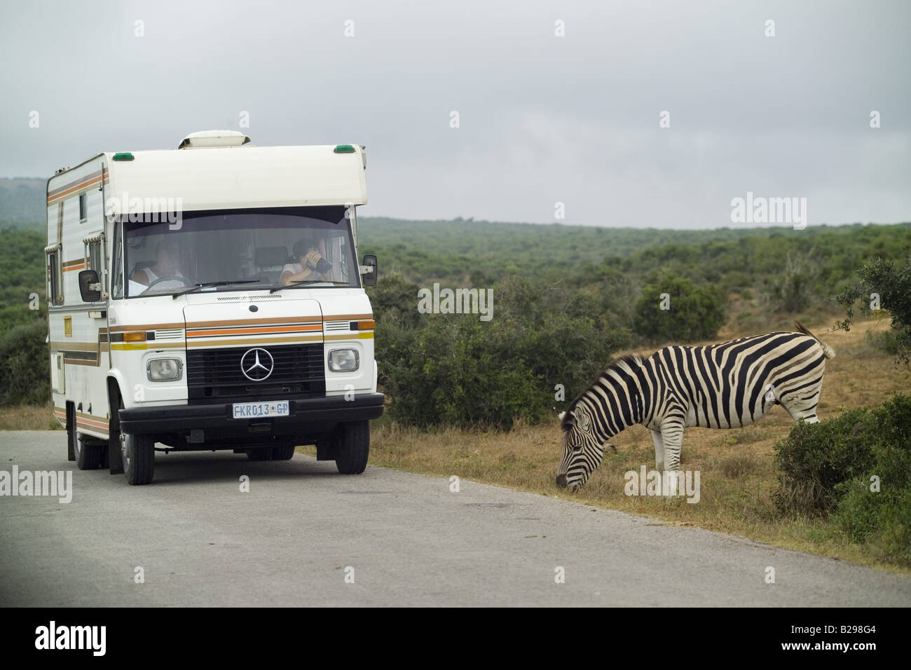 Addo National Elephant Park Port Elizabeth Garden Route South Africa ...