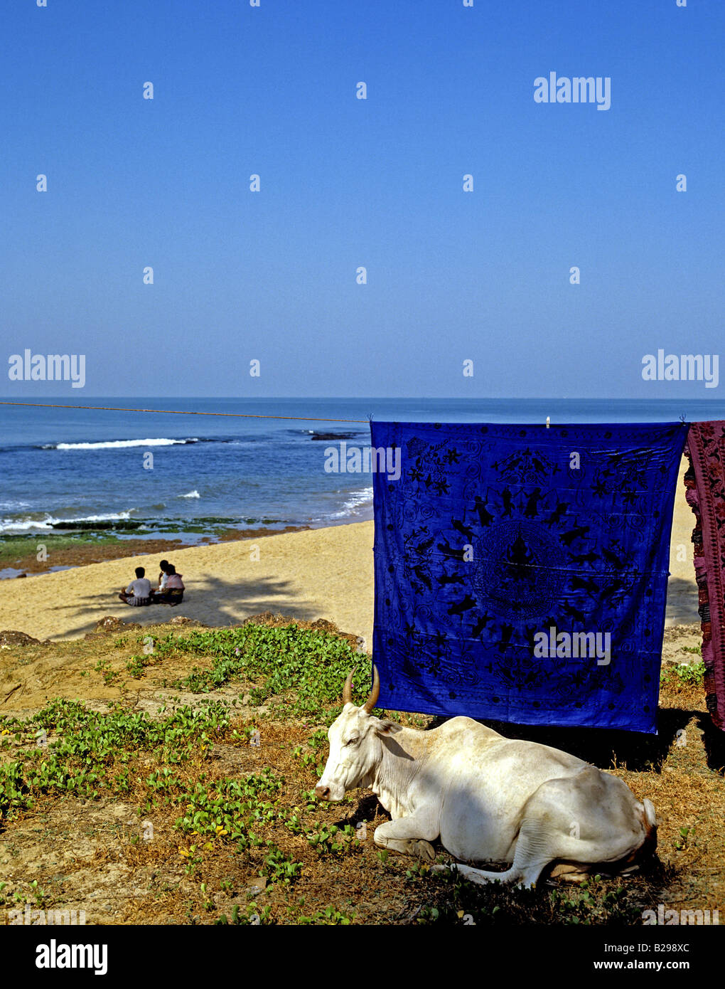 Animals of indian sub continent hi-res stock photography and images - Alamy